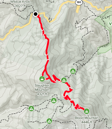 Coosa Bald, Slaughter Mtn and Blood Mtn – Steve's Outdoor Life