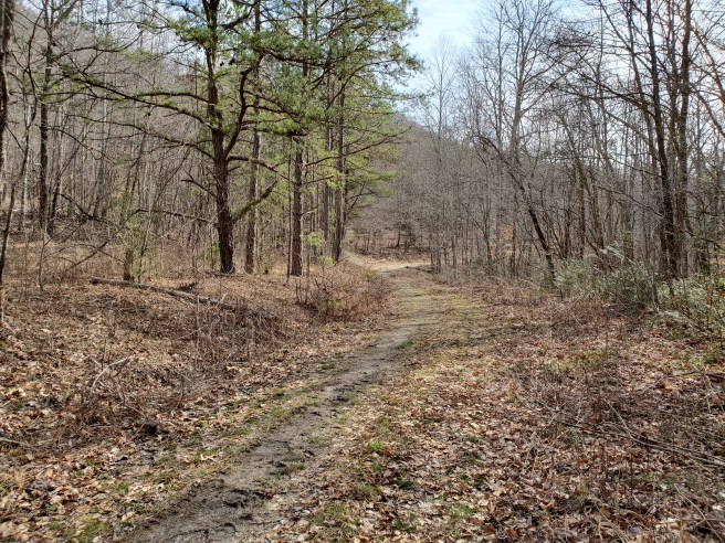 Rich Knob and Hightower Bald – Steve's Outdoor Life