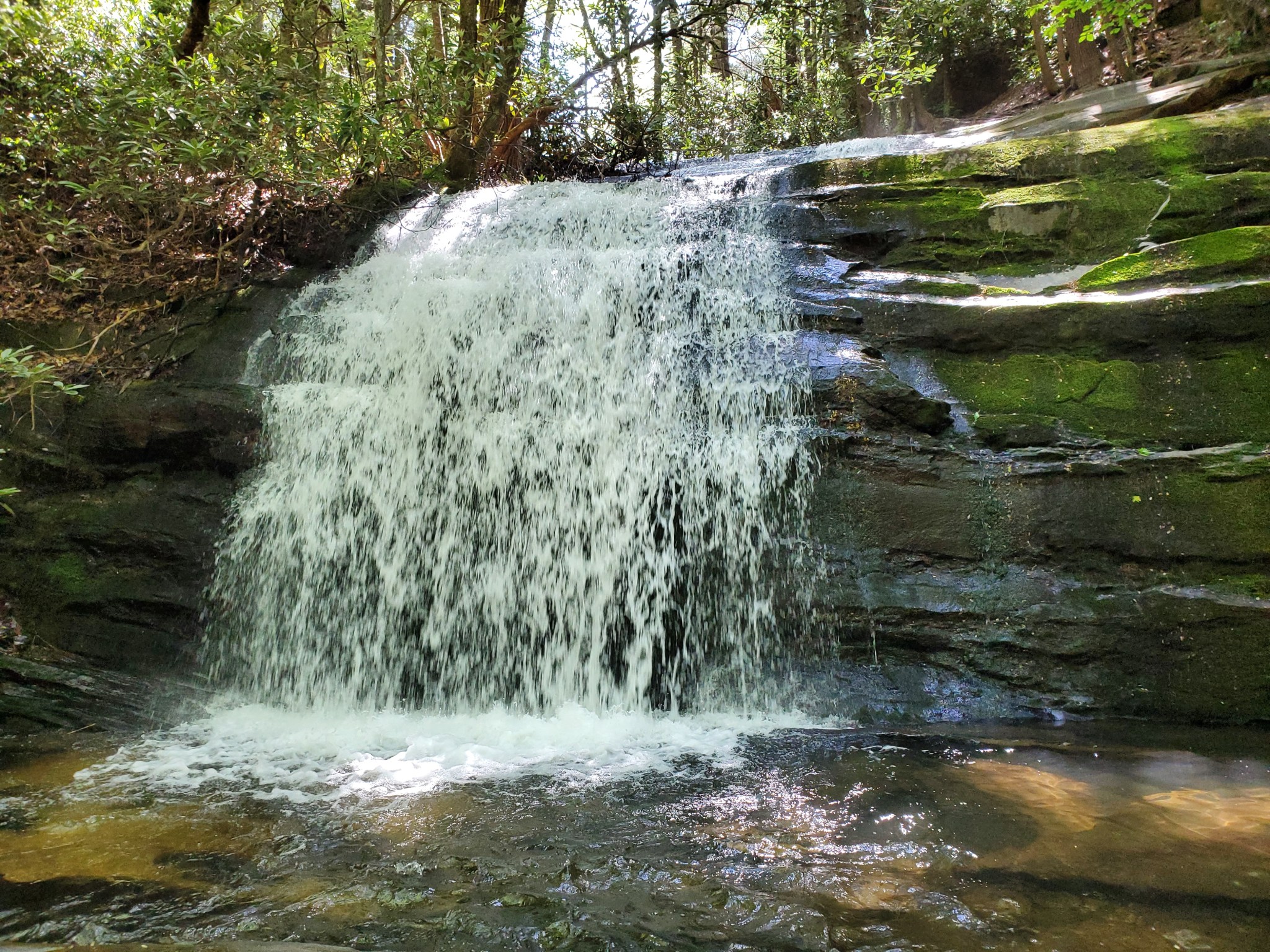 Georgia Loop 3-day Backpacking Trip – Steve's Outdoor Life